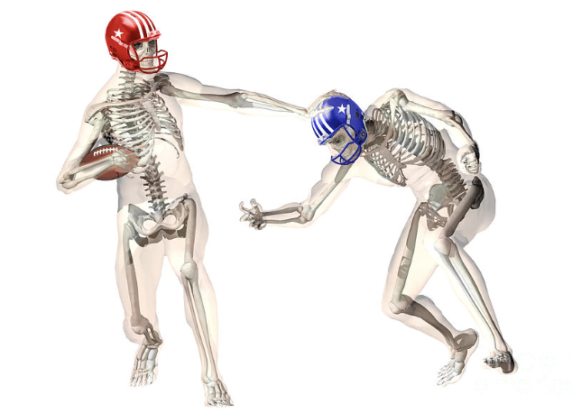 We Must Establish The Run Against Authoritarianism