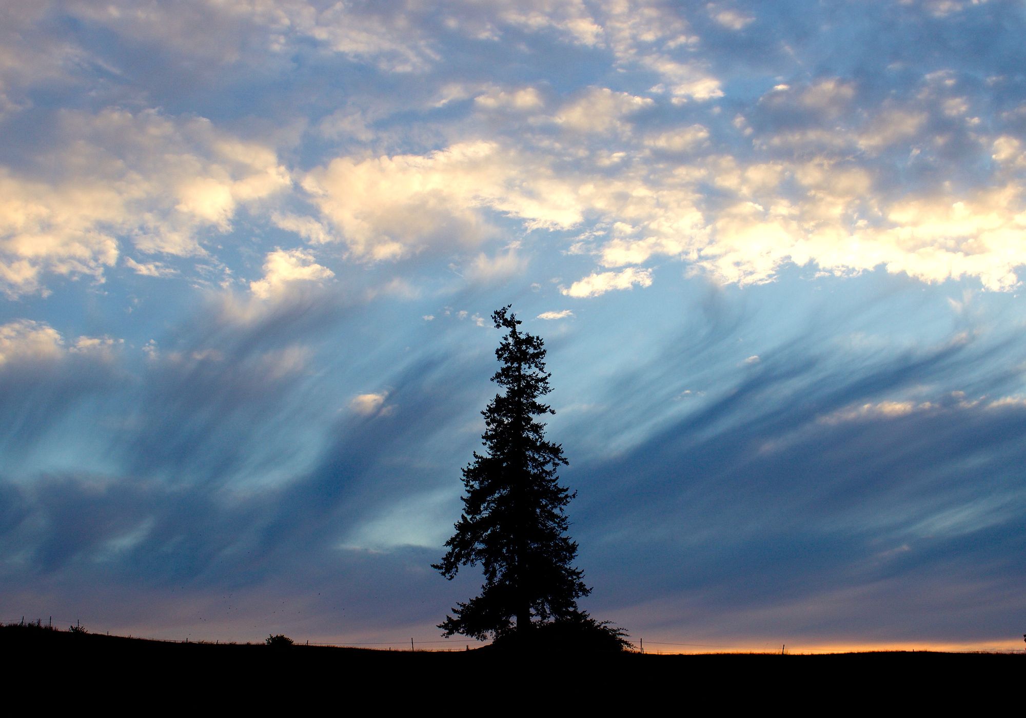 Resisting In The Age Of Accelerationism